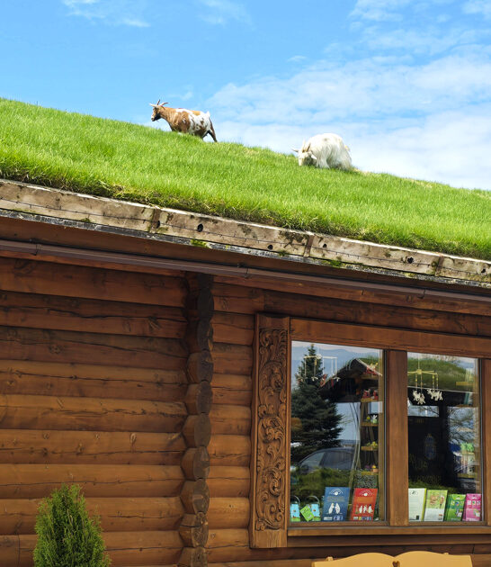 meatballs legendary restaurant wisconsin ftr