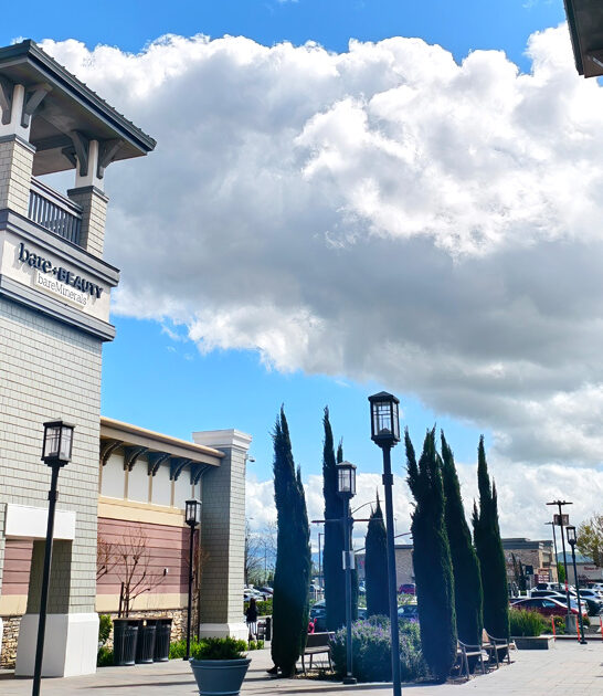 mega mall california treasure ftr