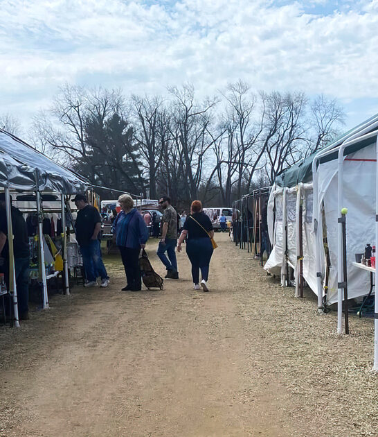 michigan affordable massive flea ftr