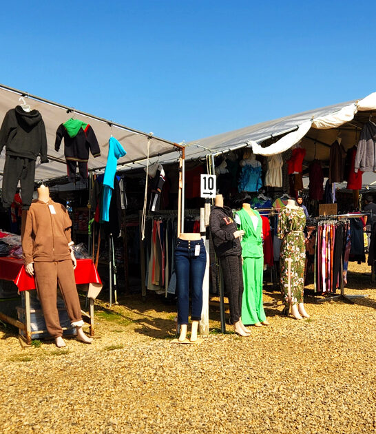 michigan amazing bargains market ftr