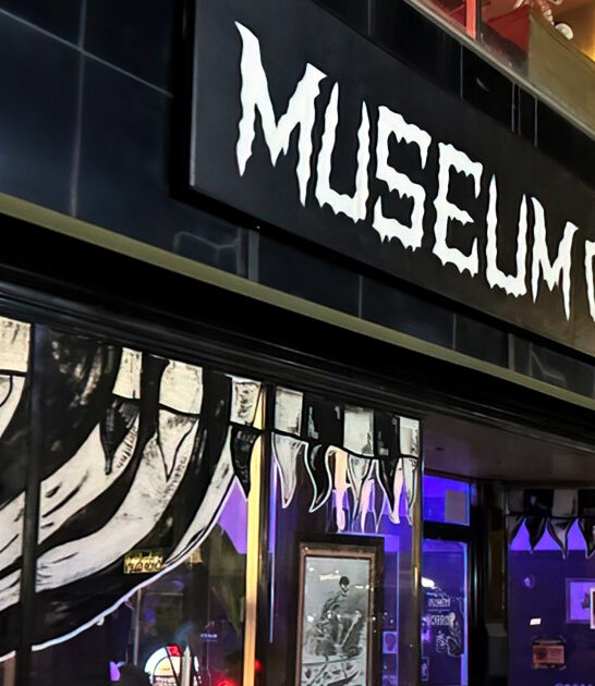 michigan bizarre horror museum ftr