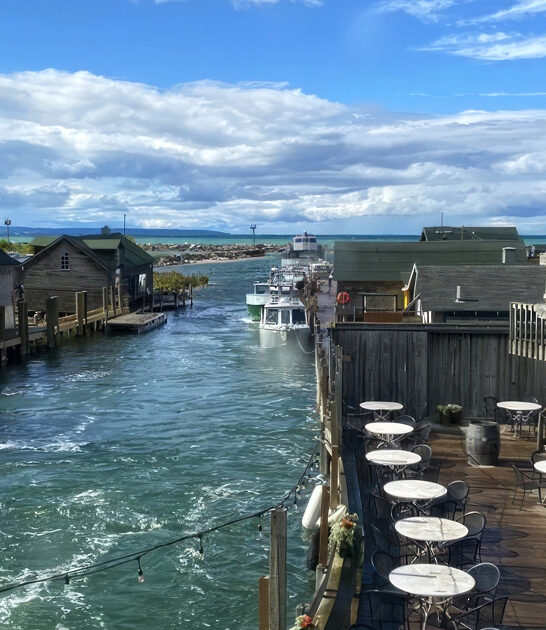 michigan delicious bloody mary ftr