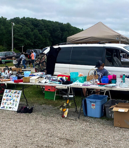 michigan enormous flea bazaar ftr