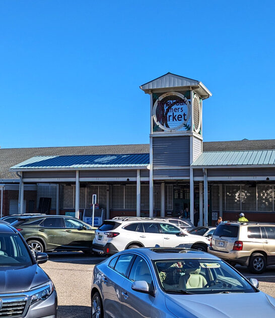 michigan famous flea market ftr