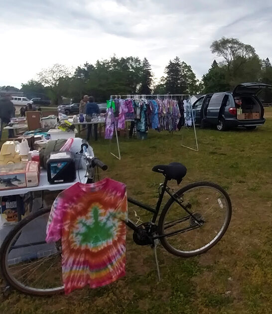 michigan flea markets ftr