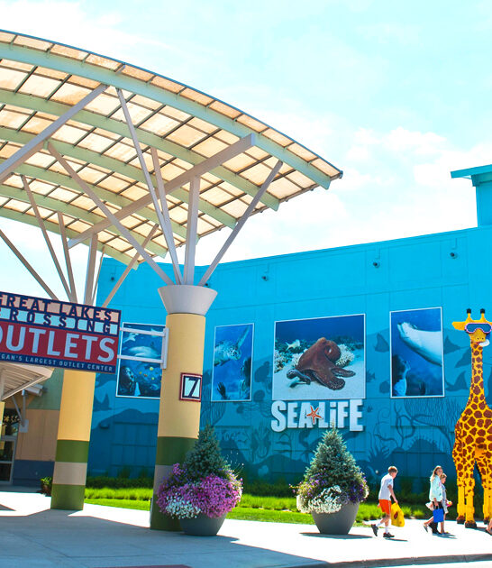 michigan massive outlet malls ftr