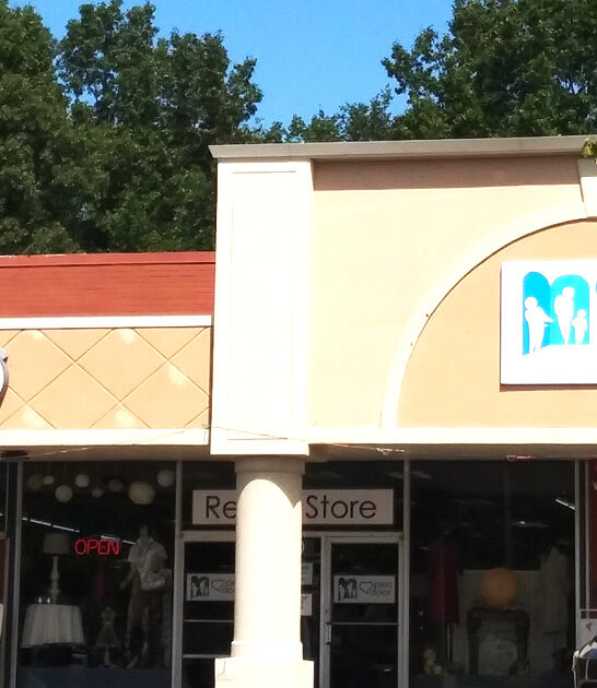 michigan secondhand shops gigantic ftr