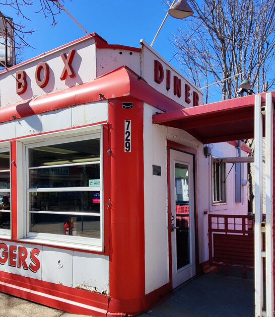 minnesota diner fries treasure ftr