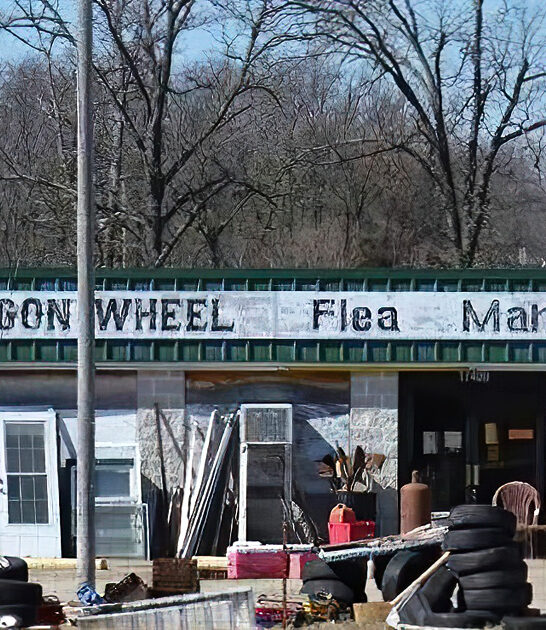 missouri massive flea gems ftr