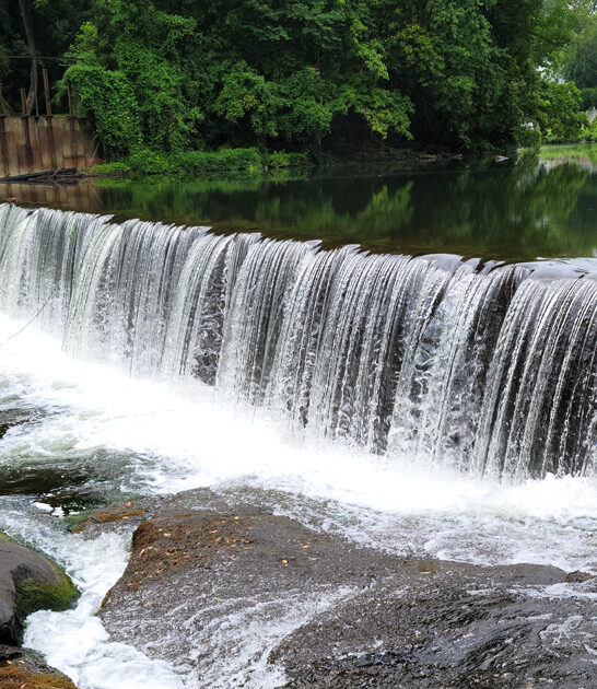 natural sanctuary delaware park ftr