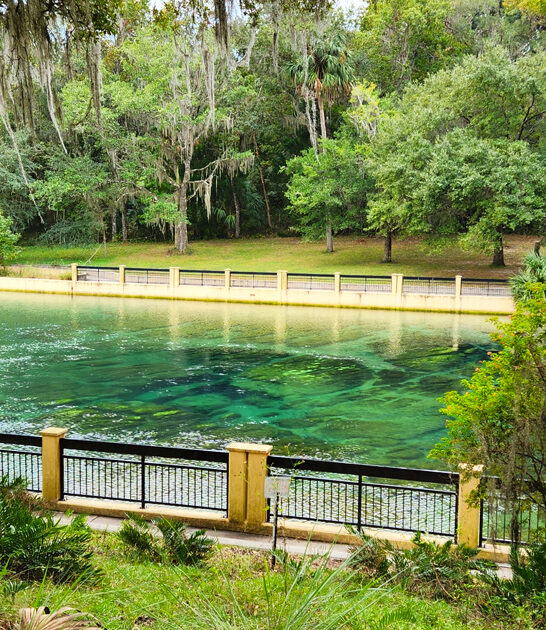 natural spring florida ftr