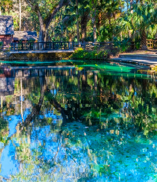 natural spring florida perfect FTR