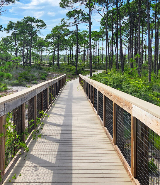 natural state park florida ftr