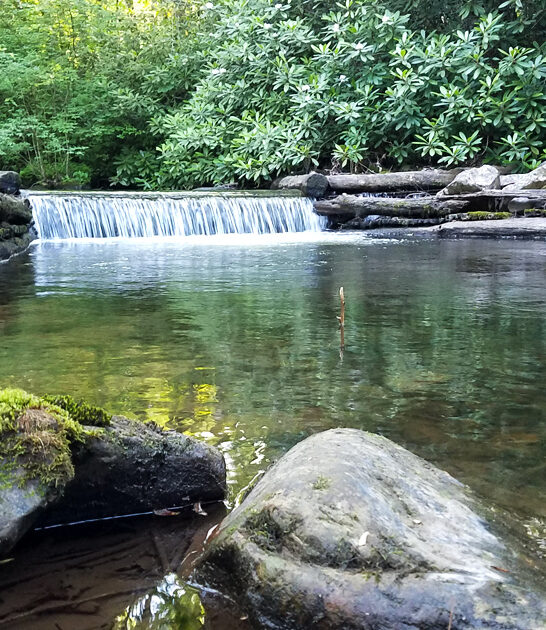 nature pennsylvania state park ftr