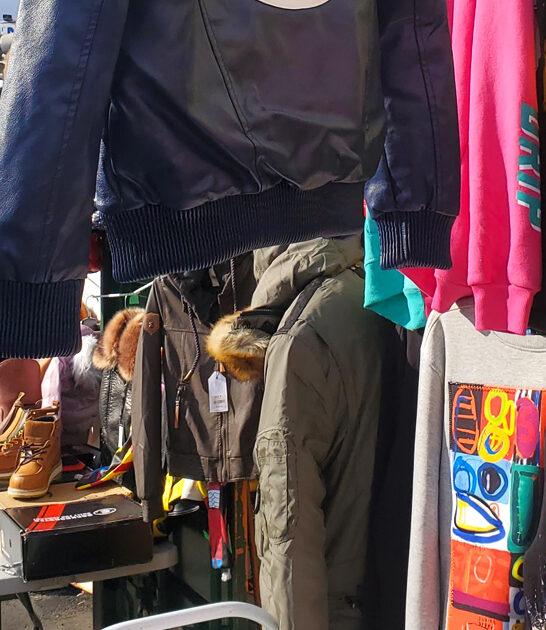 new jersey flea dreams ftr