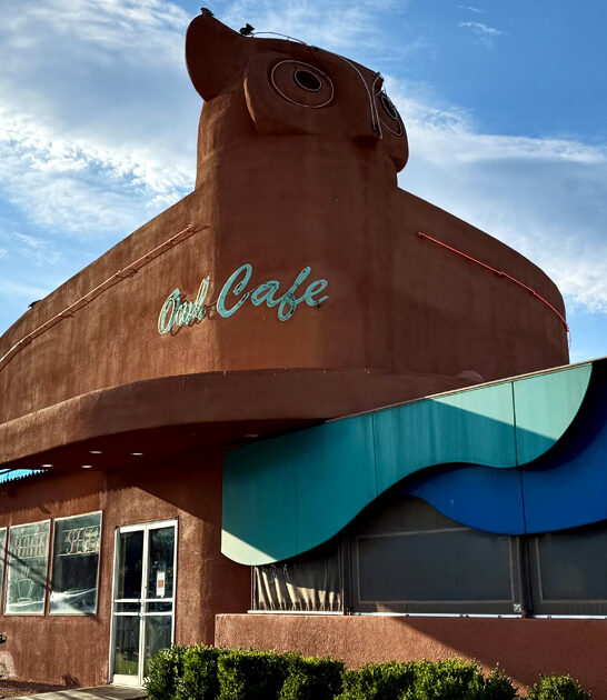 new mexico chili cheeseburger ftr