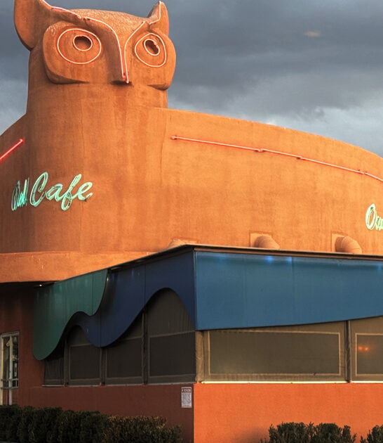 new mexico fried steak ftr