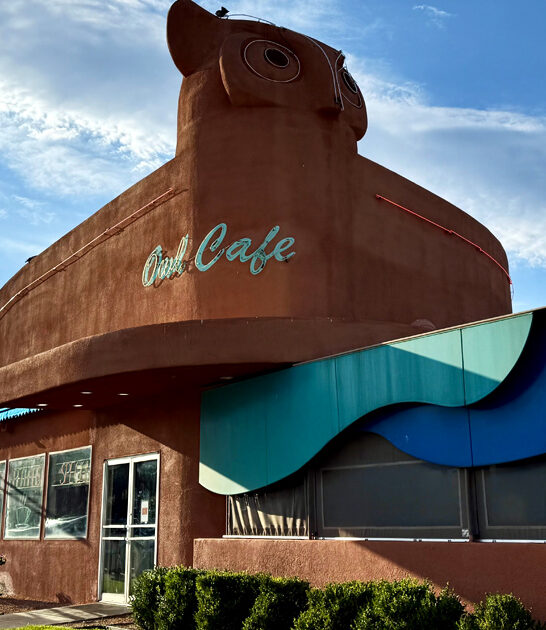 new mexico funky diner ftr