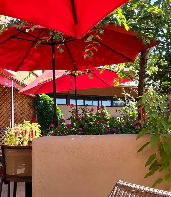 new mexico quesadilla restaurant ftr