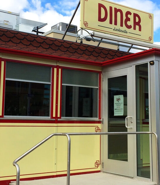 new york succulent diner ftr