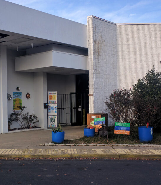 north carolina backseat bargains ftr