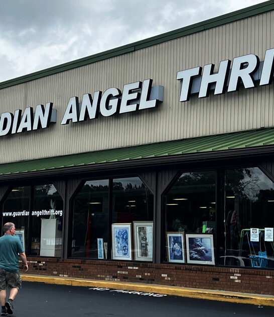 north carolina famous thrift ftr