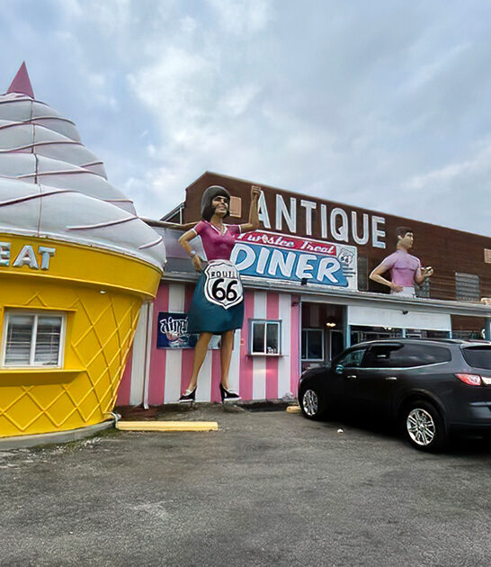 nostalgic antique shop illinois ftr