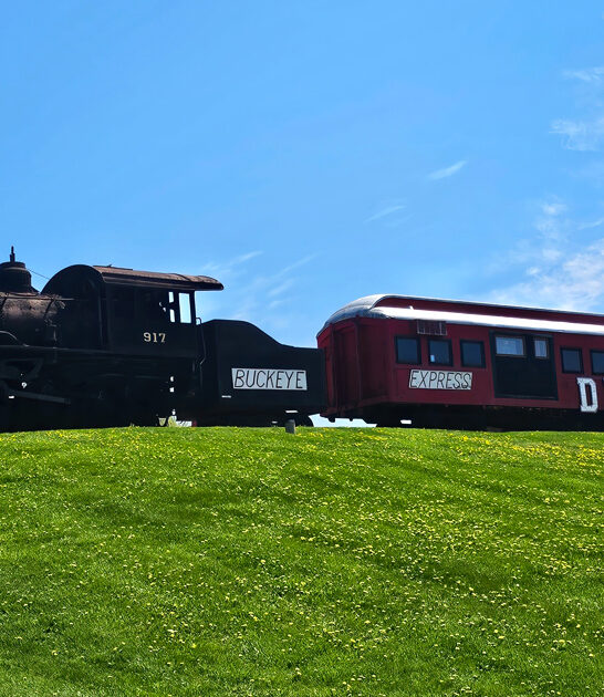 ohio best patty diner ftr