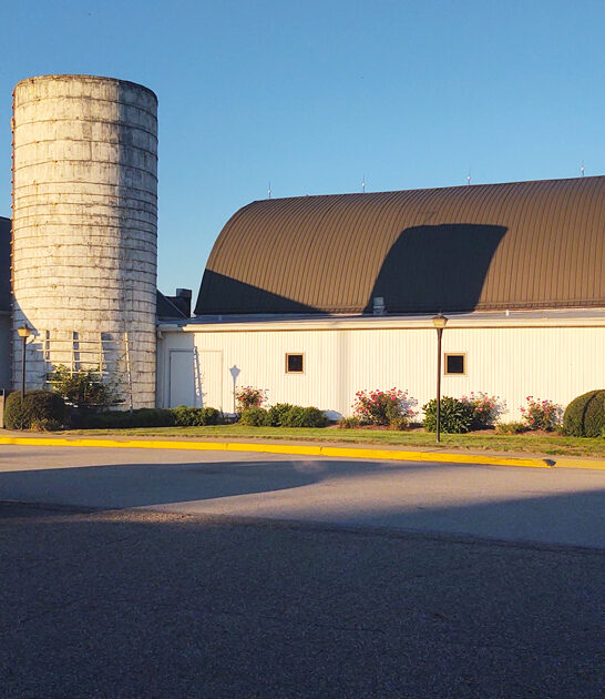 ohio forest berry pie ftr