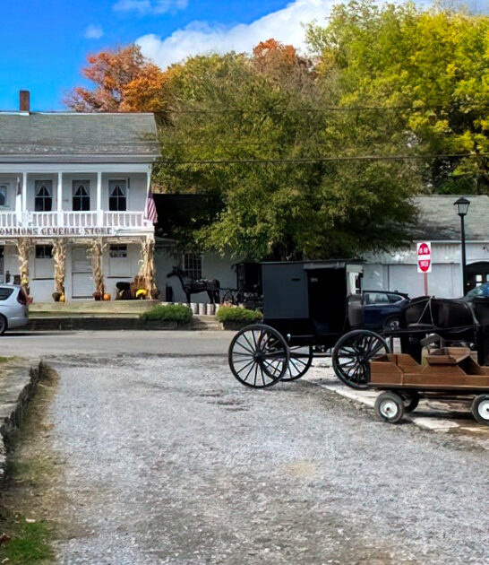 ohio general store good ftr