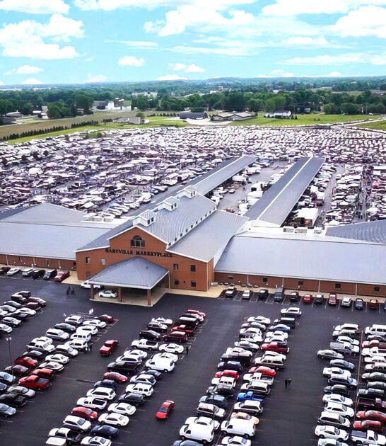 ohio markets flea enormous ftr