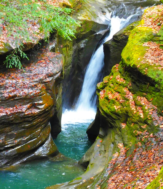 ohio nature preserve amazing ftr