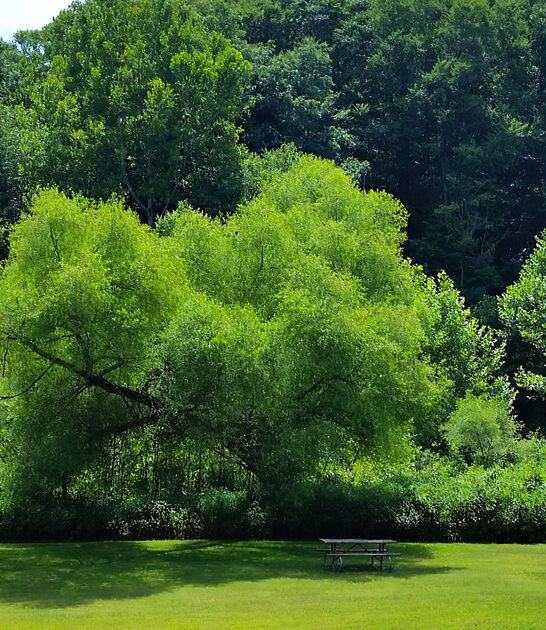 ohio perfect park relaxing ftr