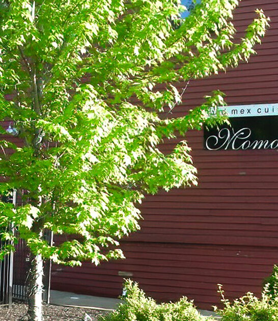 ohio rib restaurant joint ftr