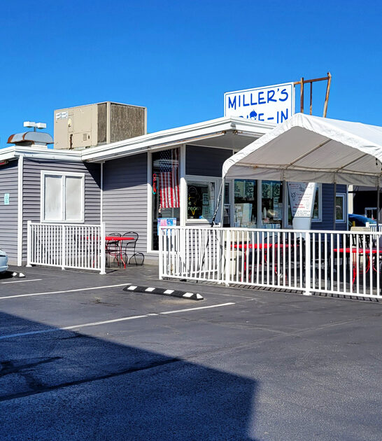 onion ohio rings ftr