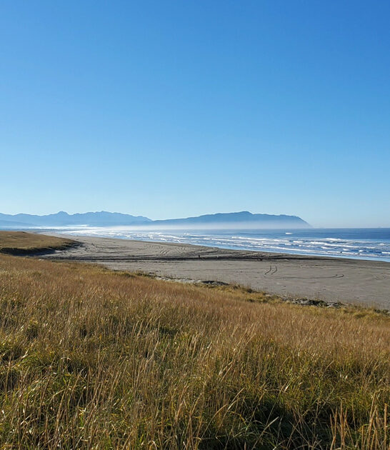 oregon park postcard worthy ftr