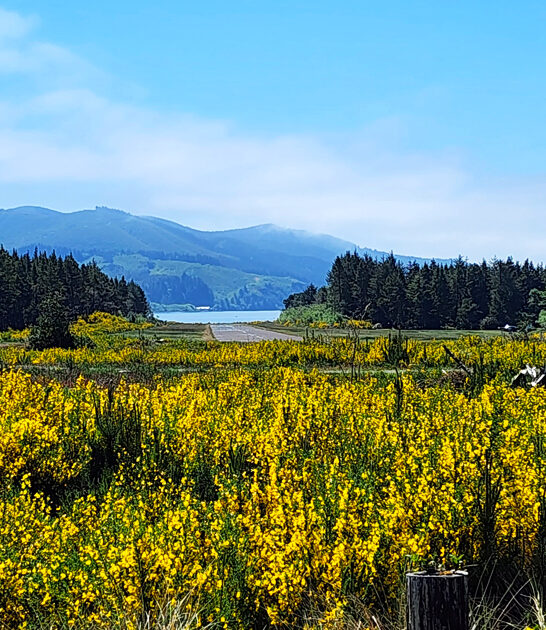 oregon stunning state park ftr