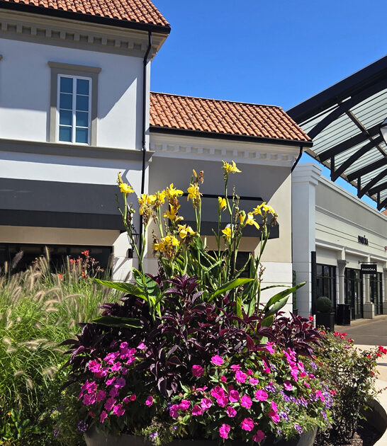 outlet experience new york ftr