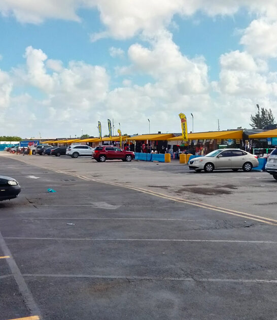 overlooked flea market florida ftr