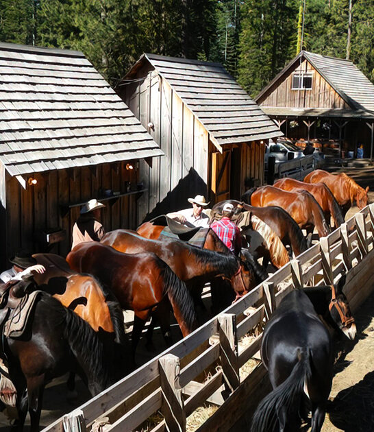 overlooked mountain town california FTR