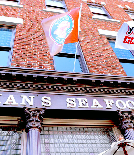 oysters south carolina spot ftr