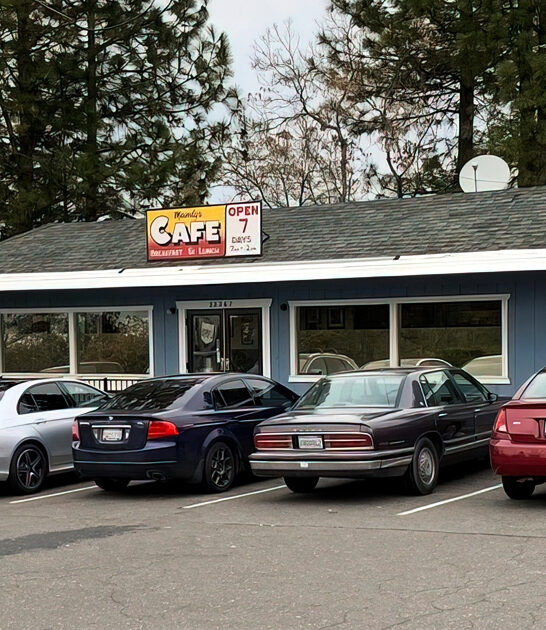 pancakes california homey diner ftr