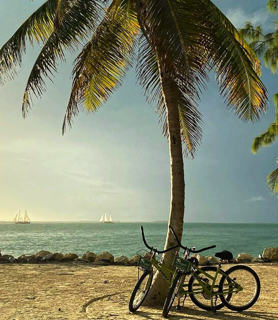 park florida beautiful postcard ftr