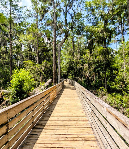 park florida hidden peaceful ftr