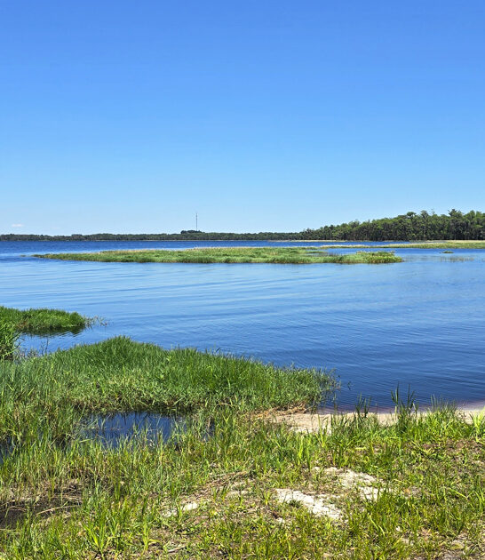 park florida stress free ftr