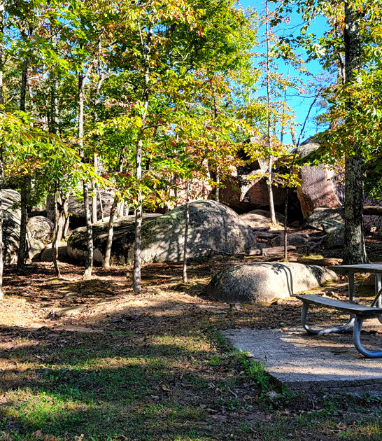 park state missouri perfect ftr