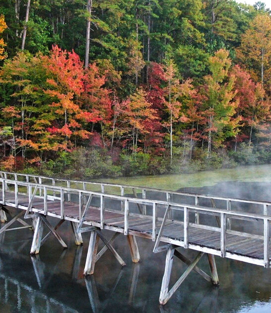 park tennessee inviting wonderful FTR