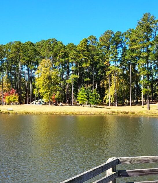 park treasure south carolina ftr