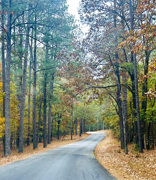 park underrated south carolina ftr