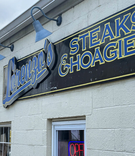 pennsylvania best veggie hoagie ftr